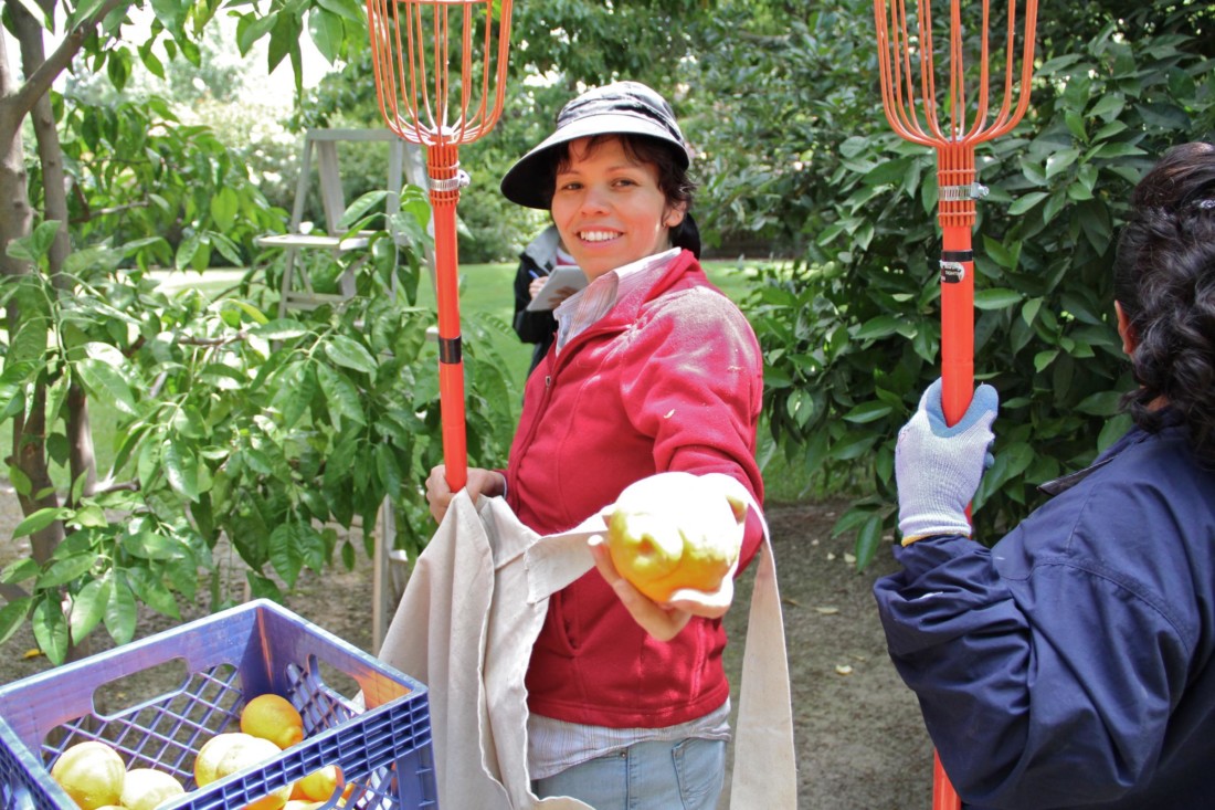 Sarah Ramirez and the Great Fruit Rescue