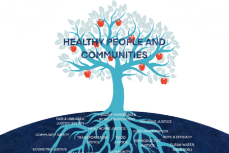 The Roots of Racial Disparities: A New Framework on the Social ...