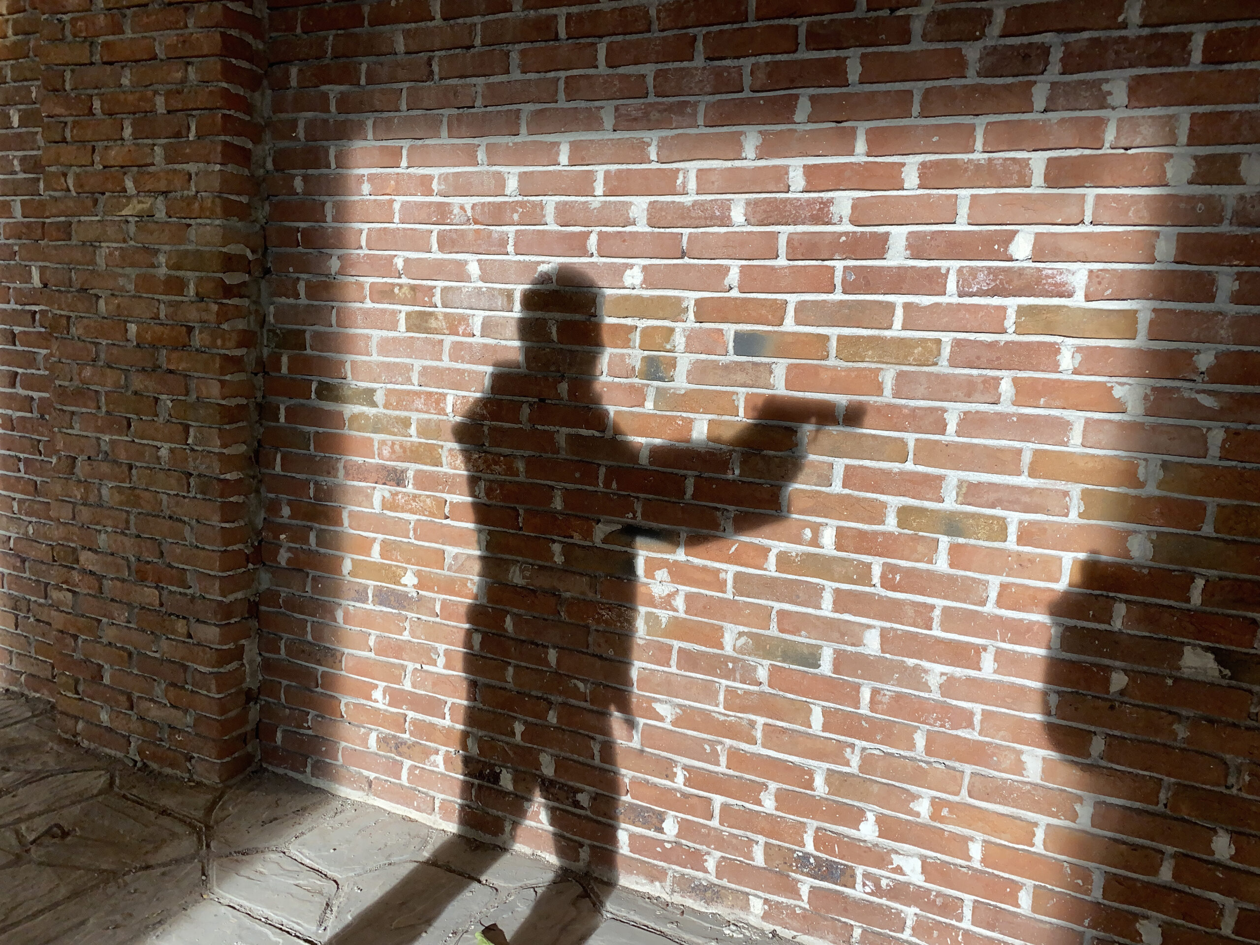 Gun Violence Is a Public Health Crisis - Salud America